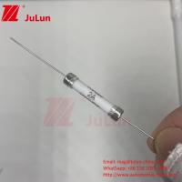 China ASTM HV620 500mA 1A 2.5A  3A 1000VDC  6x30mm Ceramic Automotive Fuses for sale
