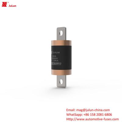 China Electric Vehicle Fuses For Road Vehicles In Carton Boxes for sale