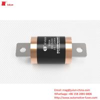 China Electric Vehicle Fuses For Road Vehicles In Carton Boxes for sale