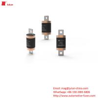 China SINOFUSE Electric Vehicle Fuse Perfect Solution For Road Vehicle Protection 300A 500VDC for sale