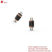 China SINOFUSE Automotive Battery Charger Ultimate Solution For Fuses for sale