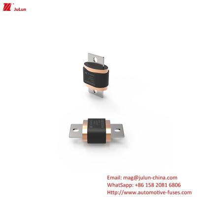 China EV Fuse Electric Vehicle Fuse 500A-1000A DC500V for sale