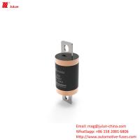 China Bolt Screw Electric Vehicle Fast Charging  10KA 20KA Medium Fusing Rated 500VDC New Energy Vehicle Fuse for sale