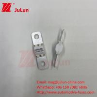 China ASTM 50A 25VDC Electric Vehicle Fuses  Current Range for sale