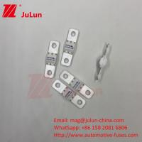 China ASTM 50A 25VDC Electric Vehicle Fuses  Current Range for sale