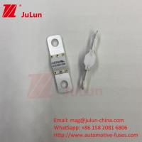 China ASTM FUSE 121601 80A 125VDC Electric Car Fuse for sale