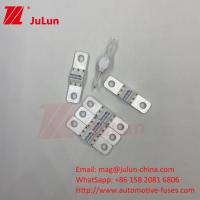China FUSE ASTM 125A 125VDC 10KA Breaking Capacity Electric Vehicle Fuse for sale