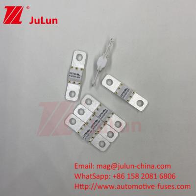 China FUSE ASTM 125A 125VDC 10KA Breaking Capacity Electric Vehicle Fuse for sale