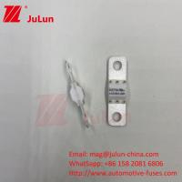 China 125VDC 150A ASTM Bolt Screw Dc Electric Car Charging  Home Ev Charger Fuse For Electric Car EV121601 for sale