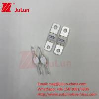China Electric Vehicle Automotive Fuse ASTM FUSE 300A 125VDC Bolt On for sale