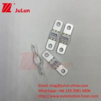 China Bolt Screw EV121601 250A 125VDC Electric Vehicle Fuses Type for sale