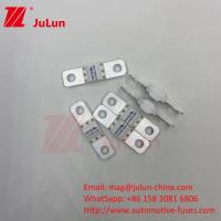 China Bolt Screw EV121601 250A 125VDC Electric Vehicle Fuses Type for sale