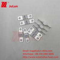 China ASTM A121601 125VDC 10KA 20KA Electric Vehicle Fuse Fuses For Road Vehicles 250A  100A 150A for sale