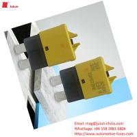 China Automotive Circuit Protection Fuse Holder Plastic / Nylon EU UL Standard 30A-500A Marine Copper Contact Circuit Breaker for sale