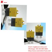 China ANS MIDI MIDI Fuse Holder Bolt The Bolt Automatically Resets The Circuit Breaker For Automotive Fuse Holders With 30A To for sale