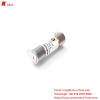 China Automotive AC/DC500V 20KA Car Fuses Medium Electric Vehicle Fast Charging for sale