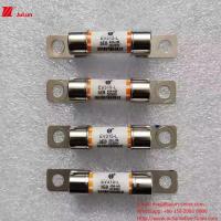China EV315L 3E Automotive Fuse Medium 10A-60A DC500V Electric Vehicles Protection for sale