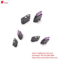 China Safe Plastic Housing Automotive 32V Nylon Mooring Circuit Breaker for sale