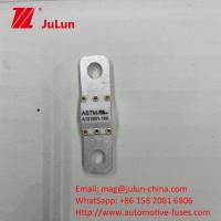 China Ccs Ev Charger / Dc Electric Car Chargings Car Fuses For Electric Power System Protection for sale