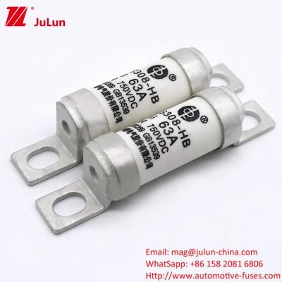China DC750V 32A 63A 100A  EV Fuses for Electric Power Systems for sale