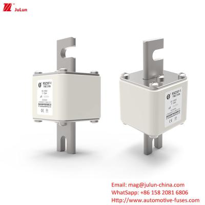 China 200A-450A Automotive Battery Charger Fuse For Enhanced Electric Power System Protection for sale