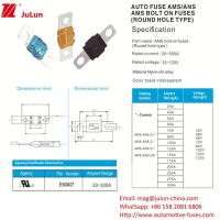 China 30-200A square car fuses for Electric Power System Protection Portable EV Charger  Car Audio Equipment for sale