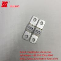 China A121601-100A ASTM Electric Vehicles New Energy Equipment Battery Ene Fuse For Car for sale