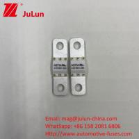 China A121601-80A ASTM 125VDC 50A-100A Electric Vehicles Battery Energy Storage Fuses for sale