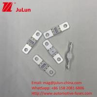 China A121601-80A 3KA 6KA 8KA Electrical Power Fuses for Automobile Electric Vehicles for sale