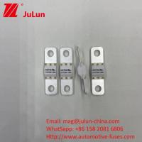 China A121601-80A 3KA 6KA 8KA Electrical Power Fuses for Automobile Electric Vehicles for sale