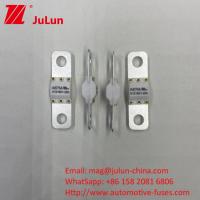 China A121601-100A 3KA 6KA 8KA Breaking Electric Vehicle Charging Automotive Fuse for sale