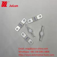 China A121601-100A 3KA 6KA 8KA Breaking Electric Vehicle Charging Automotive Fuse for sale