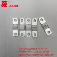 China A121601-200 ASTM 3KA-8KA Fast Charging  Small Car Fuses 125VDC Screw M6/M8 for sale