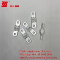 China A121601-200 ASTM 3KA-8KA Fast Charging  Small Car Fuses 125VDC Screw M6/M8 for sale
