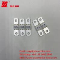 China A121601-250A Screw M6/M8 Mount Electric Vehicle Fuse for Automobile Navigation Current Protection for sale