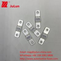 China A121601-250A Screw M6/M8 Mount Electric Vehicle Fuse for Automobile Navigation Current Protection for sale