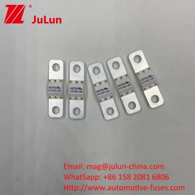 China 125 VDC Automotive Battery Charger Fuse A121601-300A Battery Energy Storage Motorcycle for sale