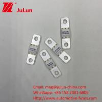 China 125 VDC Automotive Battery Charger Fuse A121601-300A Battery Energy Storage Motorcycle for sale