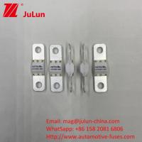China A121601-350A Electric Vehicle Fuse With 125VDC Voltage And 6KA Breaking Capacity for sale