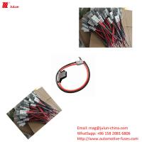 China Eu UL Standard 30A-100A Automotive Fuses Are Used In The Field Of Marine New Energy Vehicles for sale
