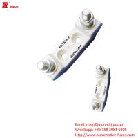 China UL Standard Bipolar Automotive Spare Parts Plastic Housing Fuse / Fuse Holder Rated Voltage 125V for sale