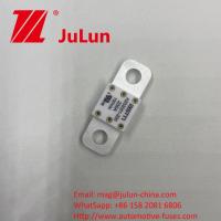 China A202001-500A 125VDC ASTM Effortless Installation Ceramic Car Fuses Voltage 150VDC  For M8 Installation for sale