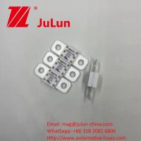 China A202001-350A 150VDC ASTM Ceramic Automotive Fuses for Car Charger and Automotive Charging System for sale