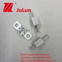 China A202001-350A 150VDC ASTM Ceramic Automotive Fuses for Car Charger and Automotive Charging System for sale