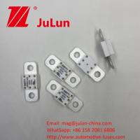 China ASTM A202001-100A 150VDC Ceramic Automotive Fuses Featuring Quartz Sand and Gold Construction for sale