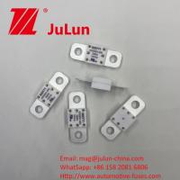 China Ceramic Automotive Fuses 150VDC 300A A202001 with Mounting Method SCREW BOLT Electrical Characteristics 1.0In 4 Hours 3.0In 10s Max for sale