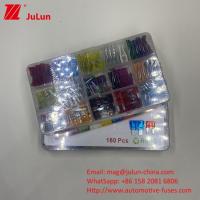 China Vehicle Circuit Breakers 100A Blade Fuse Shunt For Cars SUVs Trucks for sale
