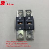 China EV320-5X / 5C Automotive Battery 300A 70VDC Charger Fuse With DC FUSE FOR EV HEV Protection Included for sale