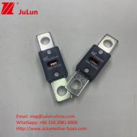 China 250A 70VDC  Fuses For Durable Automotive Performance for sale