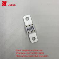 China ASTM A202008 Ceramic Automotive Fuses 300A 125VDC 20KA Breaking Capacity for sale
